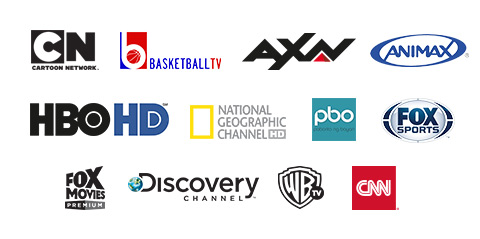 Cignal Digital Tv Logo